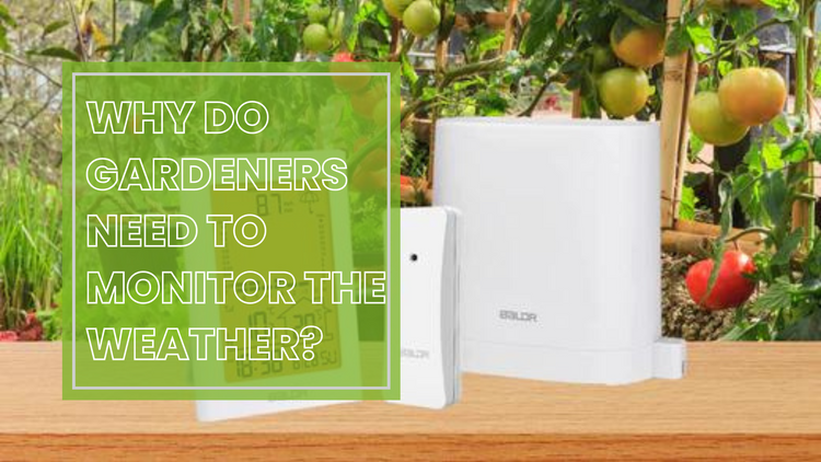Why Do Gardeners Need To Monitor The Weather? – BALDR Electronic