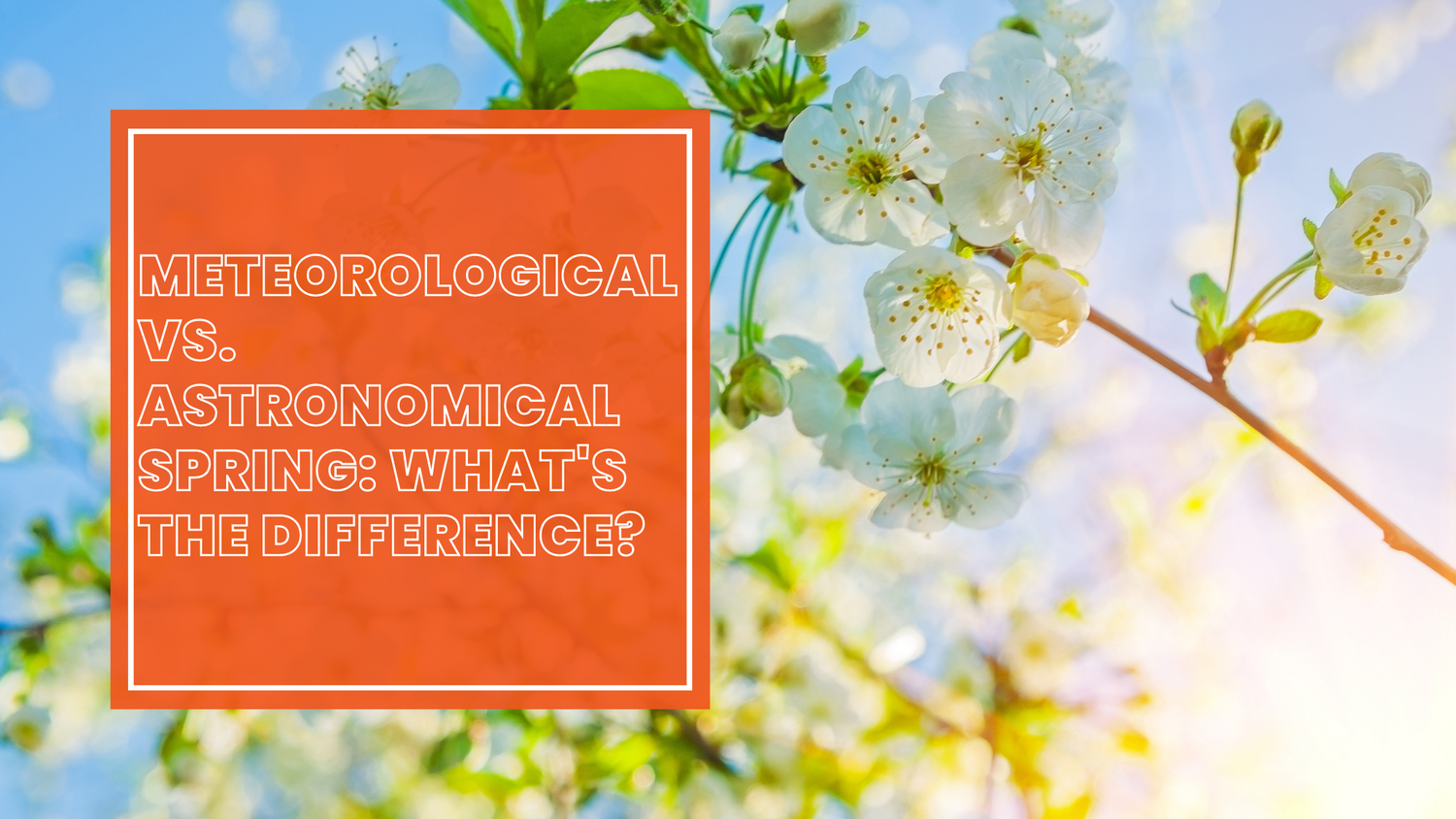 Meteorological vs. Astronomical Spring: What's the Difference? – BALDR Electronic
