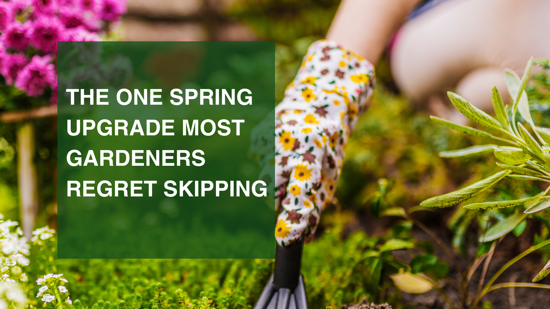 The One Spring Upgrade Most Gardeners Regret Skipping – BALDR Electronic